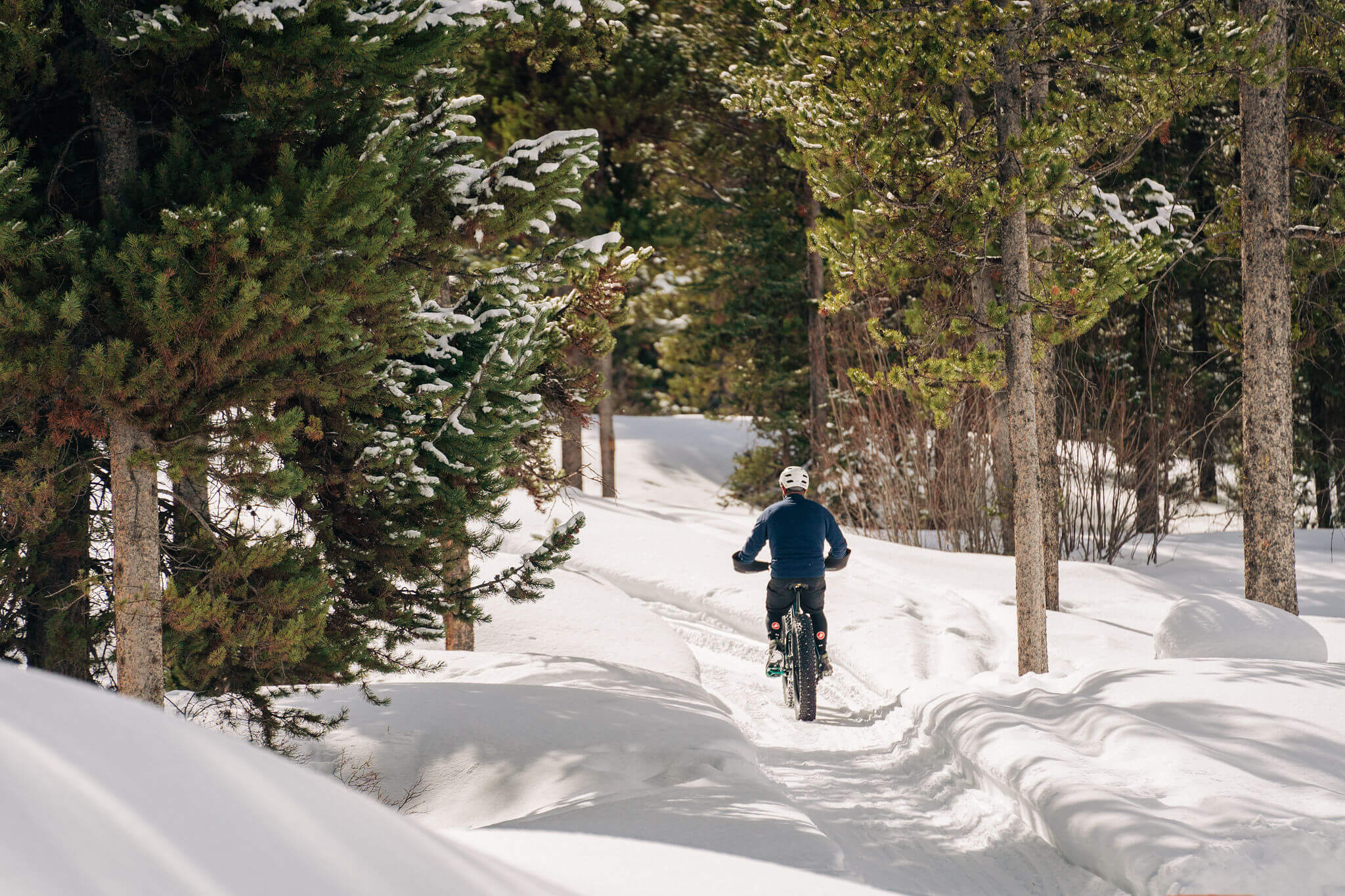 Fat Biking - Visit Jackson Hole