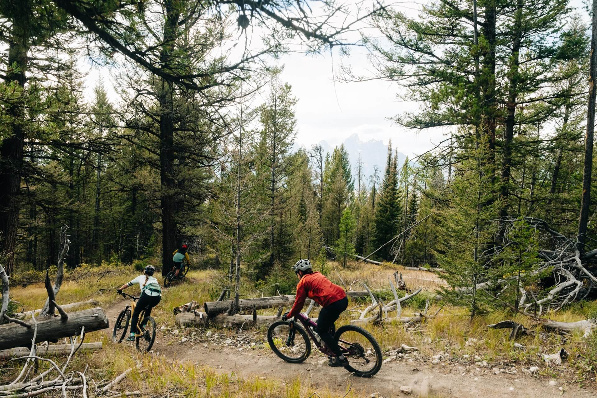 Fall - Visit Jackson Hole