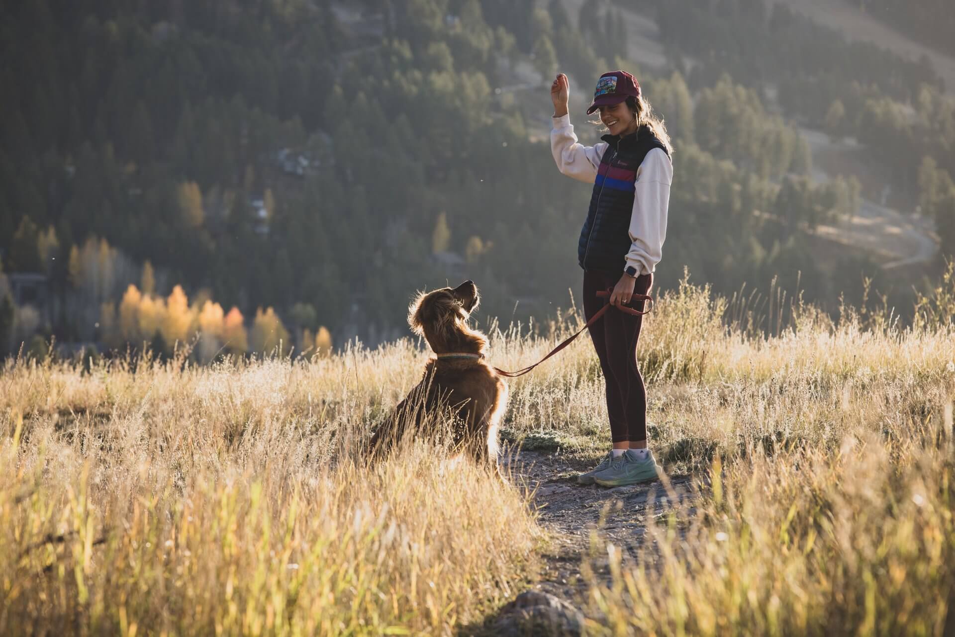 Adventuring With Dogs in Jackson Hole - Visit Jackson Hole